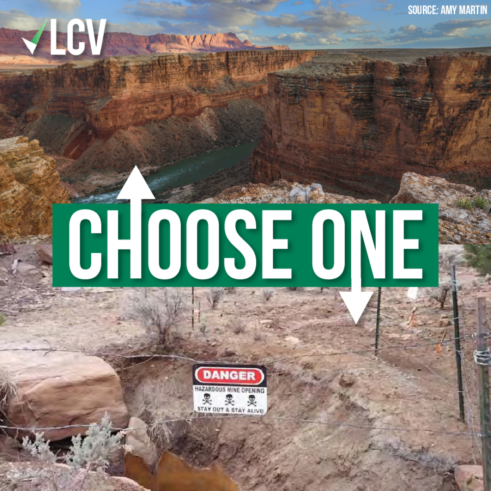 We Must Protect the Grand Canyon as a National Monument - League of ...